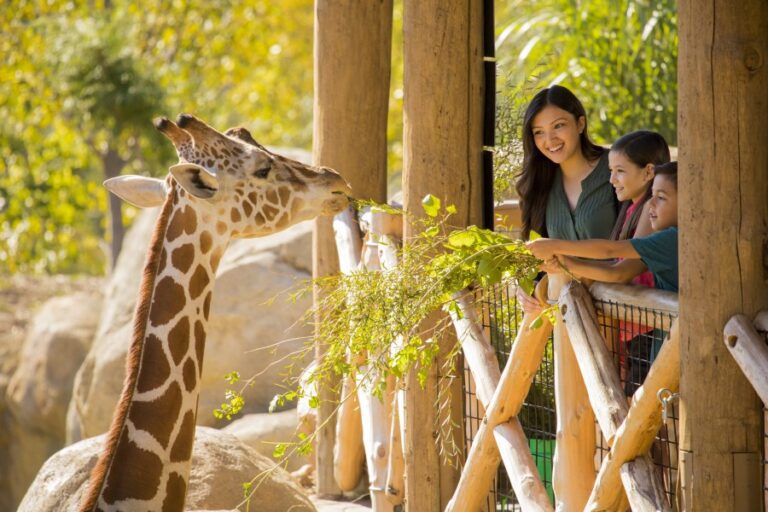 Zoo Animal Stereotypies: Understanding Repetitive Behaviors - Earthy ...